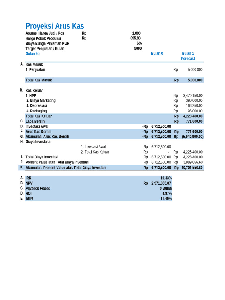 Cash Flow Projection | PDF