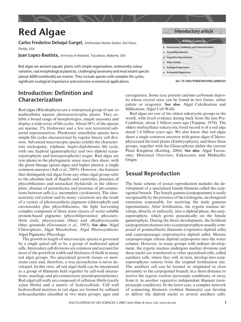 Red-Algae | PDF