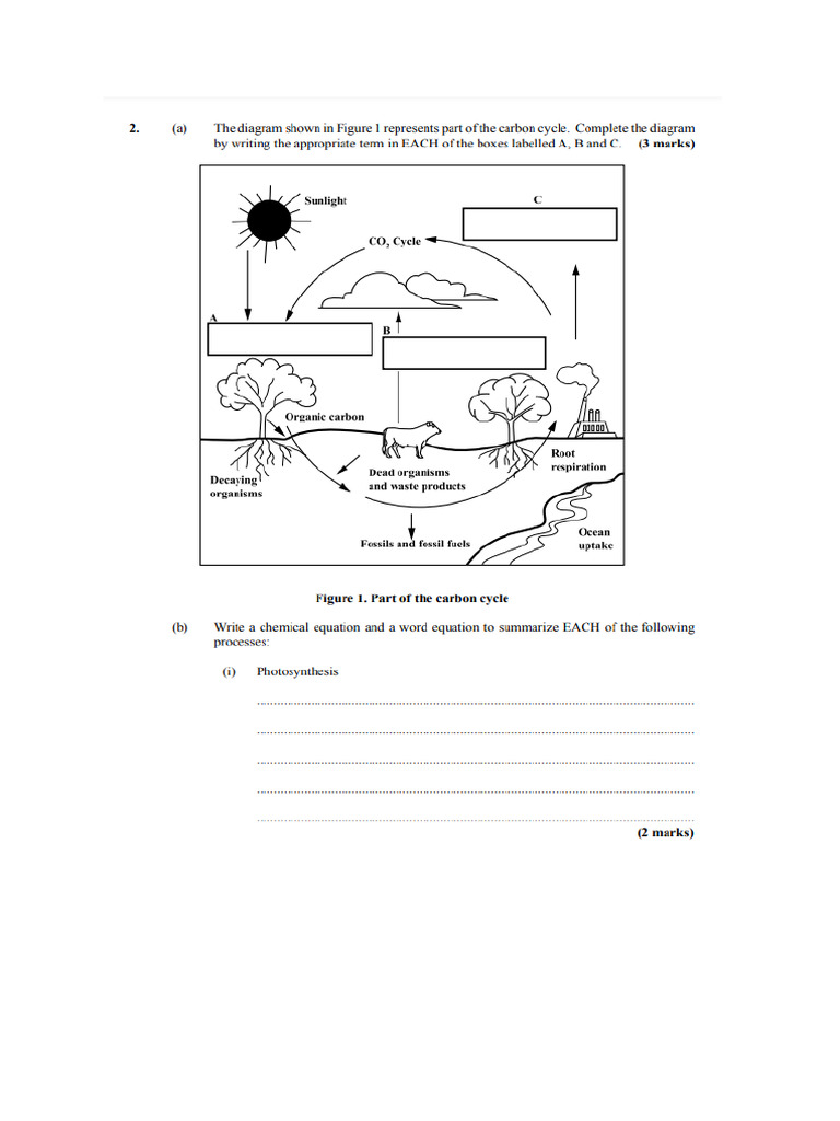 Climate Change - Biology | PDF