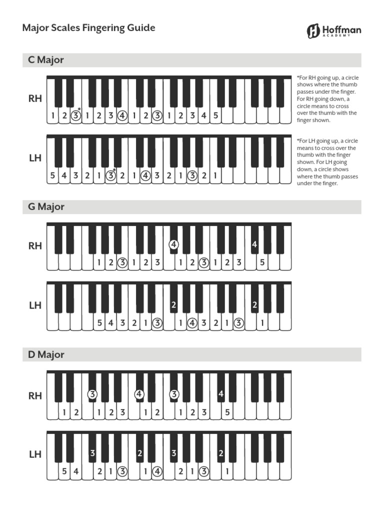 Major Scales Guide | PDF