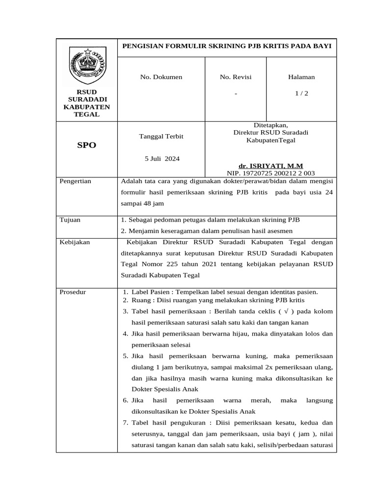 Spo Pengisian Form PJB Kritis | PDF