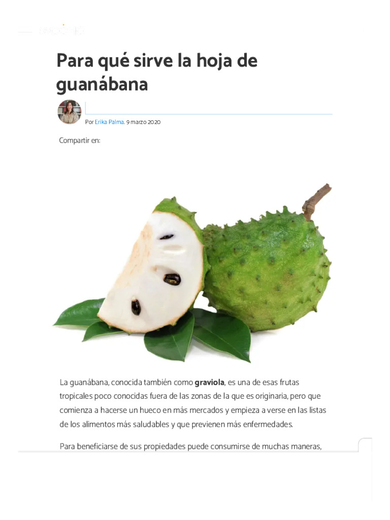 Para Qué Sirve La HOJA de GUANÁBANA - Propiedades y Beneficios | PDF