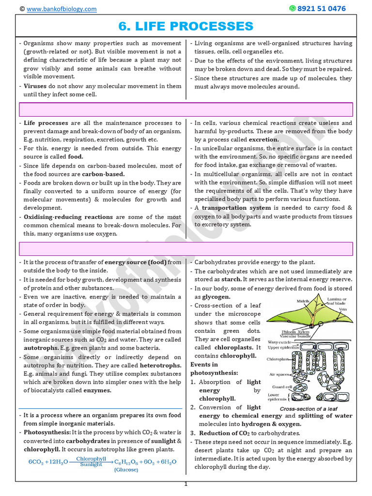 6 Life Processes - 1 PG Notes | PDF