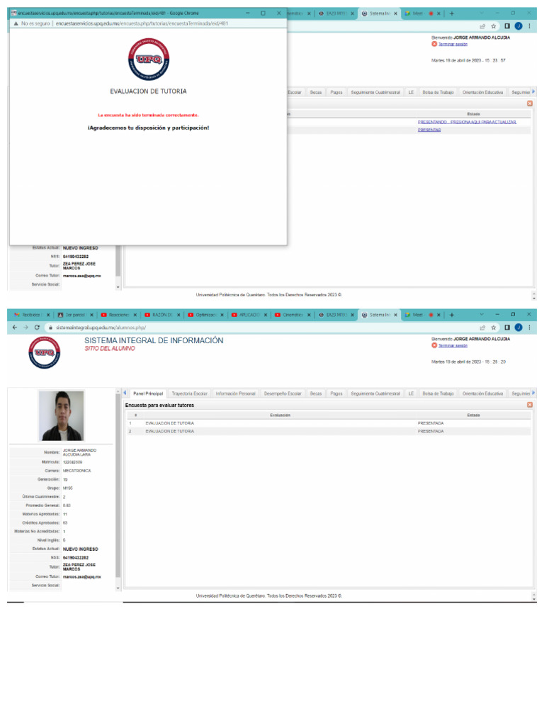 Encuesta del tutor | PDF