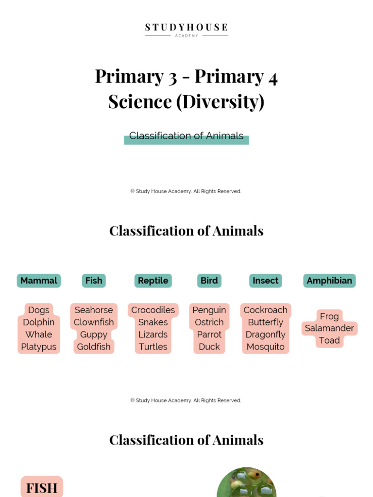 P3-P4 Science [Diversity Classification of Animal | PDF
