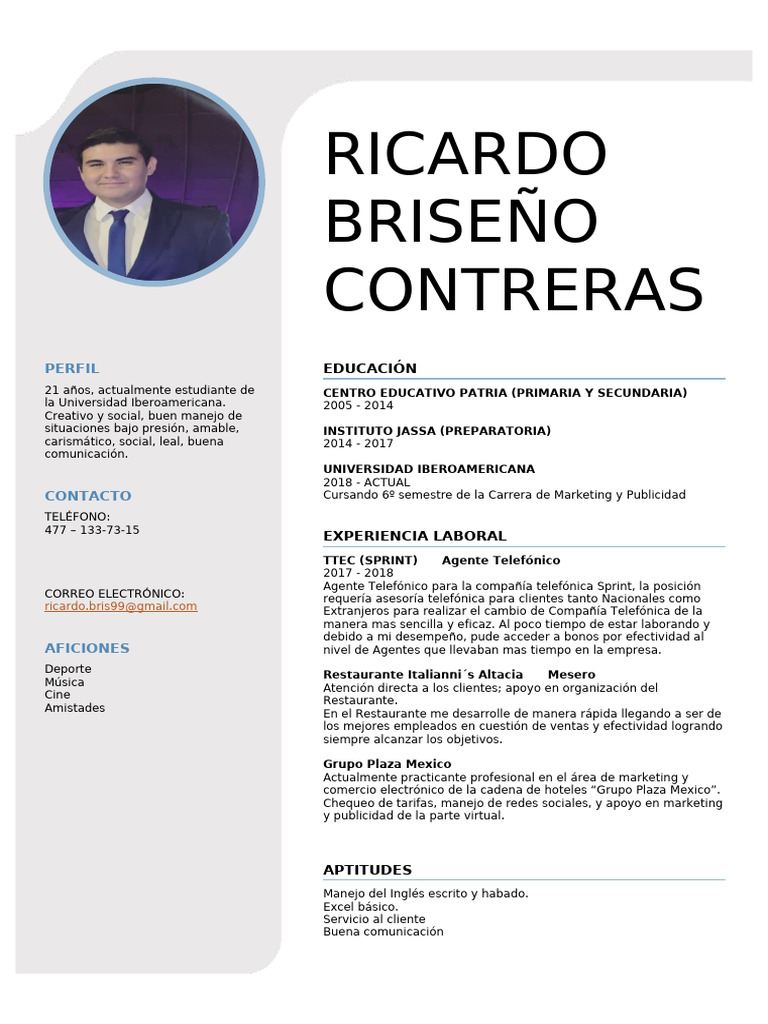 Ricardo Briseño CV | PDF | Business | Negocios