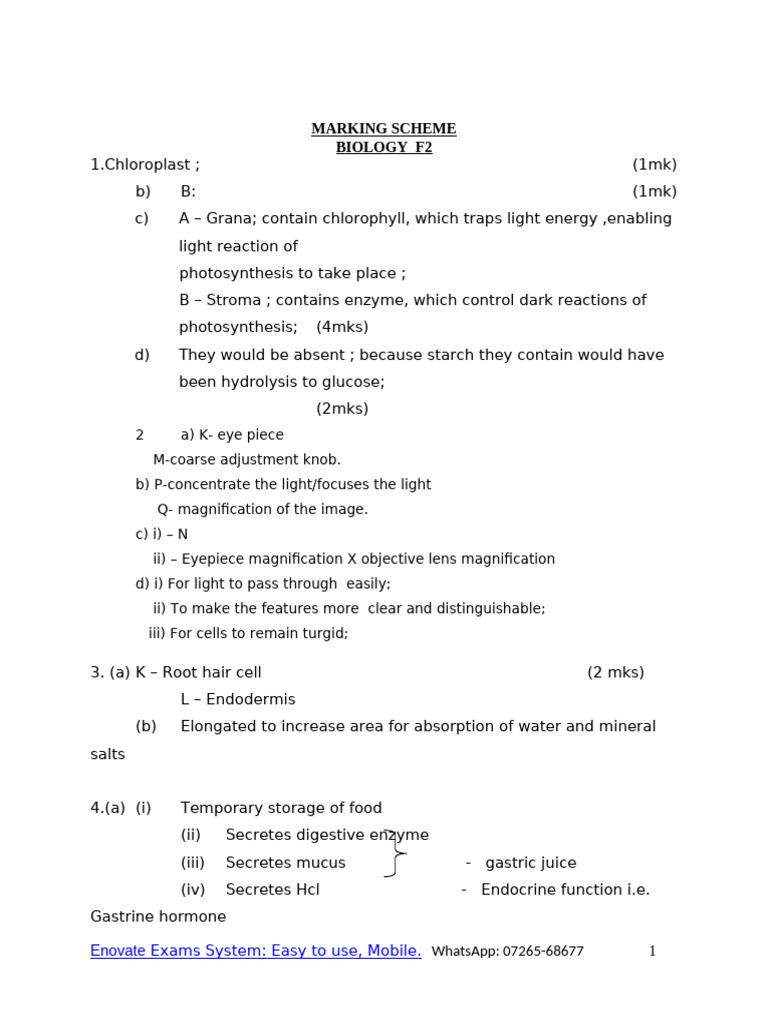Moi - Tea - Term2 - 2022 - Bio Ms | PDF