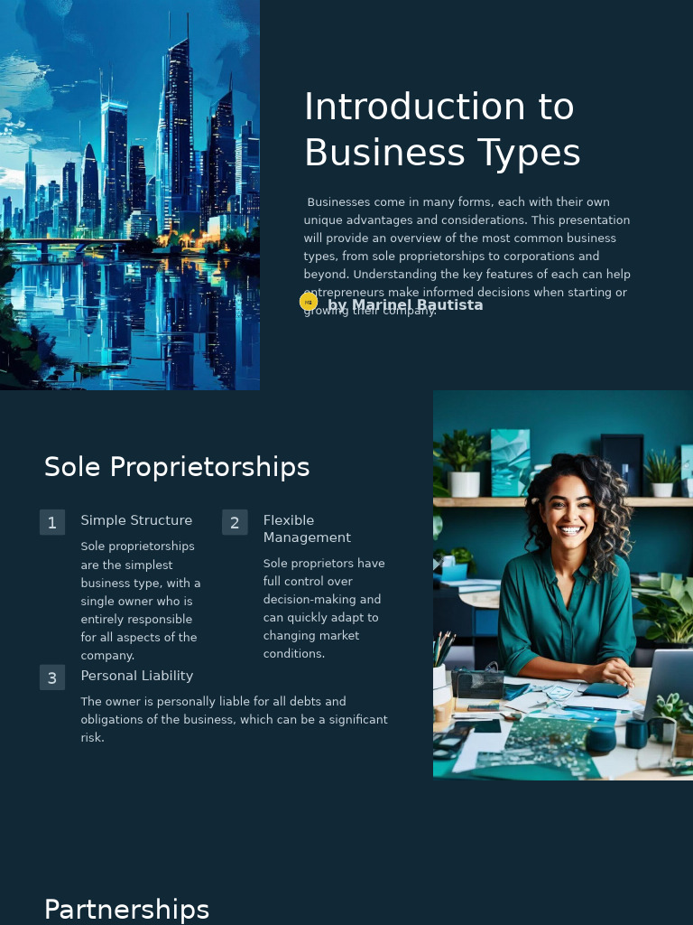 Business Types | PDF