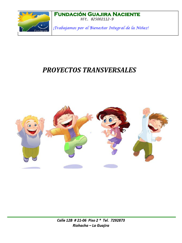 Proyectos Transversales | PDF