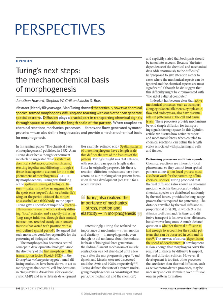 Lecture04 - Turings Next Steps - The Mechanochemical Basis of Morphogenesis | PDF