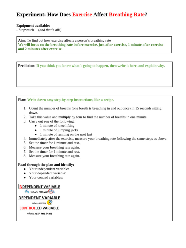 How Exercise Affects Breathing Worksheet | PDF