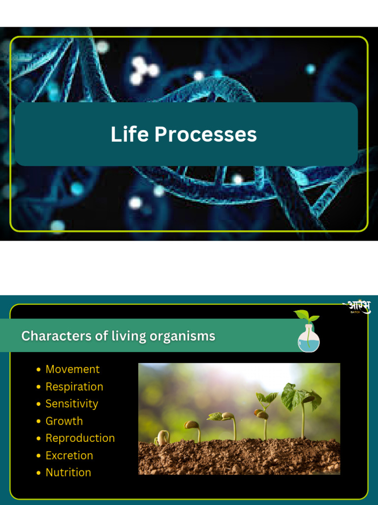 Life Processes Lec - 1 | PDF