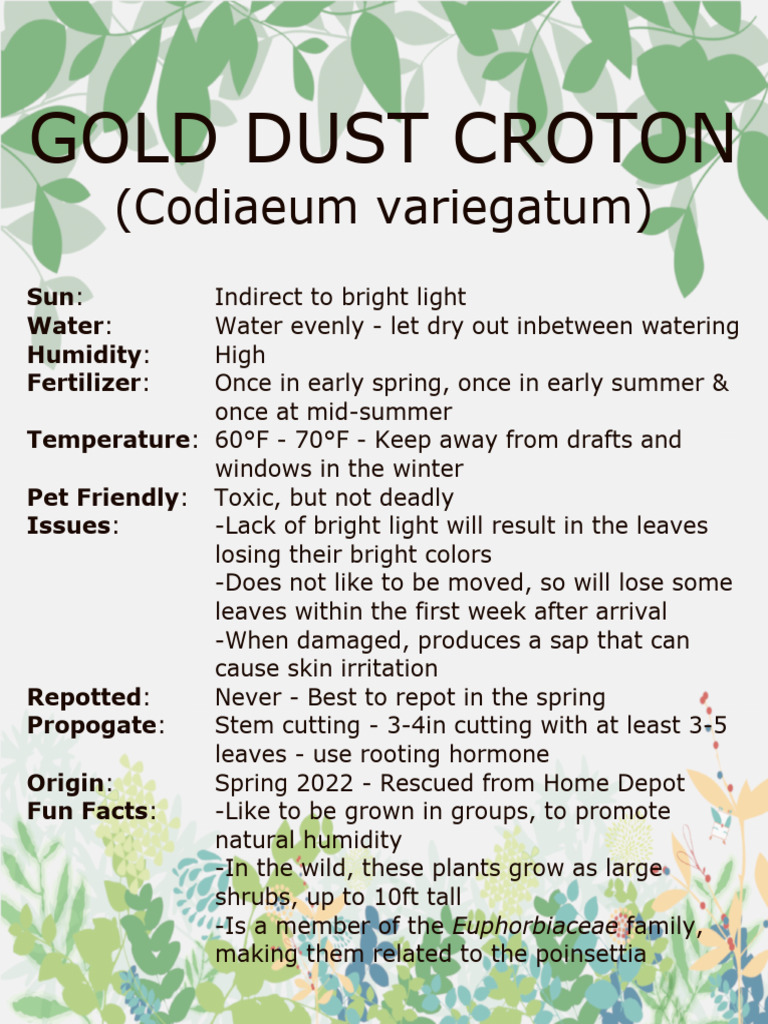 Gold Dust Croton | PDF
