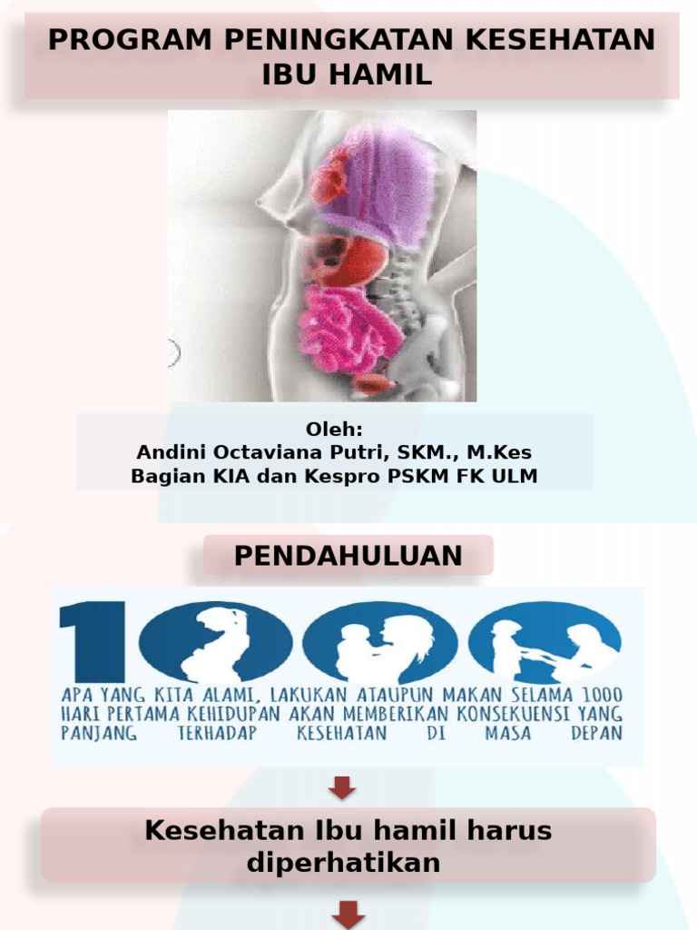 Program Peningkatan Kesehatan Ibu Hamil: Oleh: Andini Octaviana Putri ...