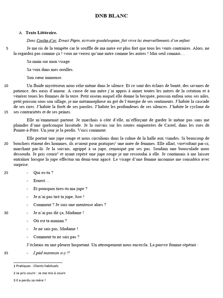 Texte Et Image | PDF