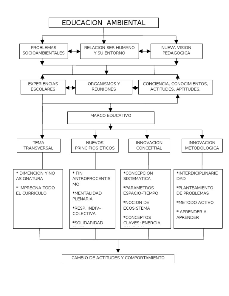 Mapa Conceptual Educacion Ambiental | PDF