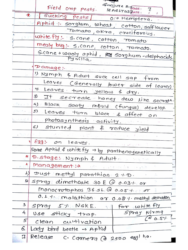 Ento 354 Handwritten Short Notes | PDF