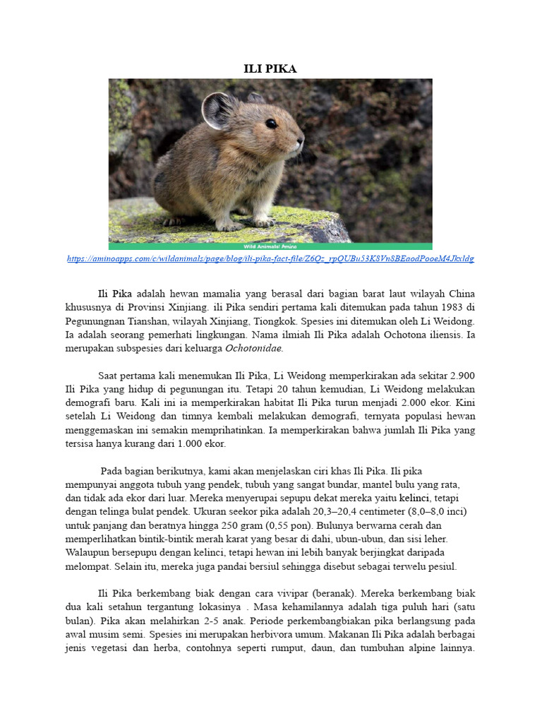Ili Pika Kelompok 1 | PDF