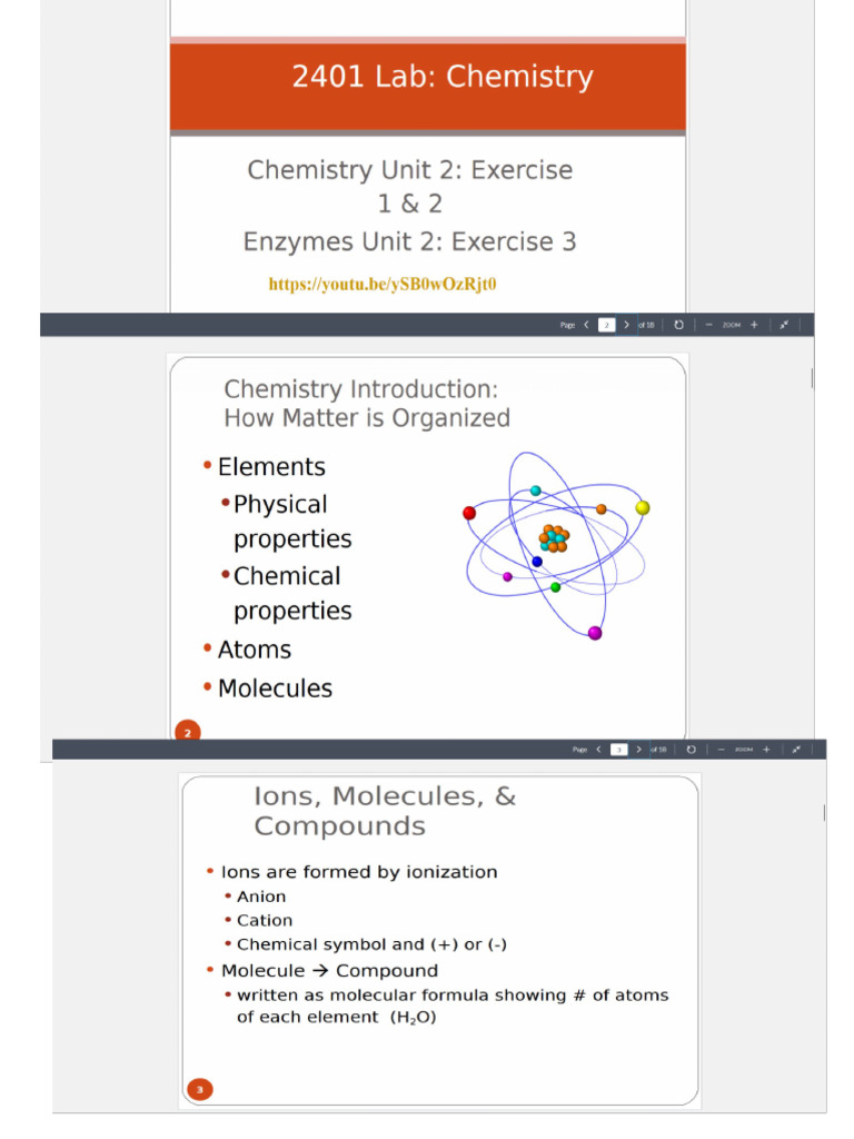 BIOL AP Lab 2 | PDF