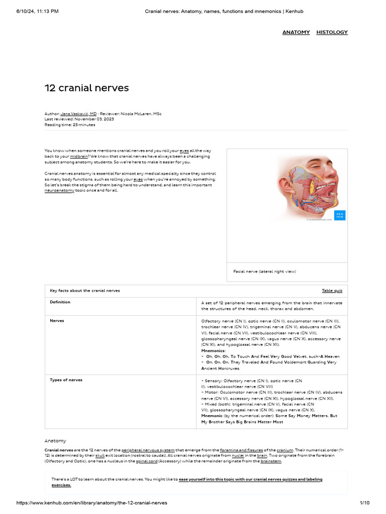 Cranial Nerves - Anatomy, Names, Functions and Mnemonics - Kenhub | PDF