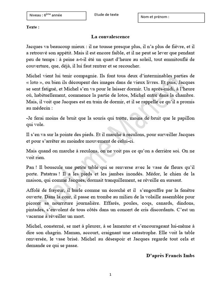 6è Étude de Texte: La Convalescence | PDF