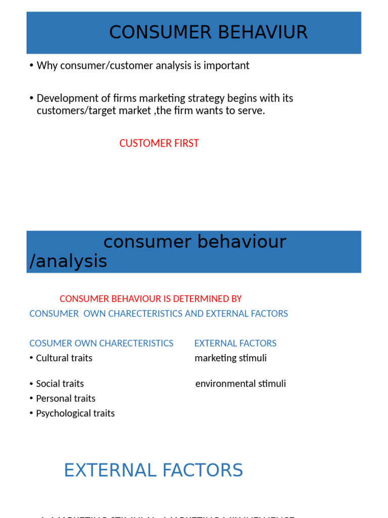 Consumer Behaviour | PDF