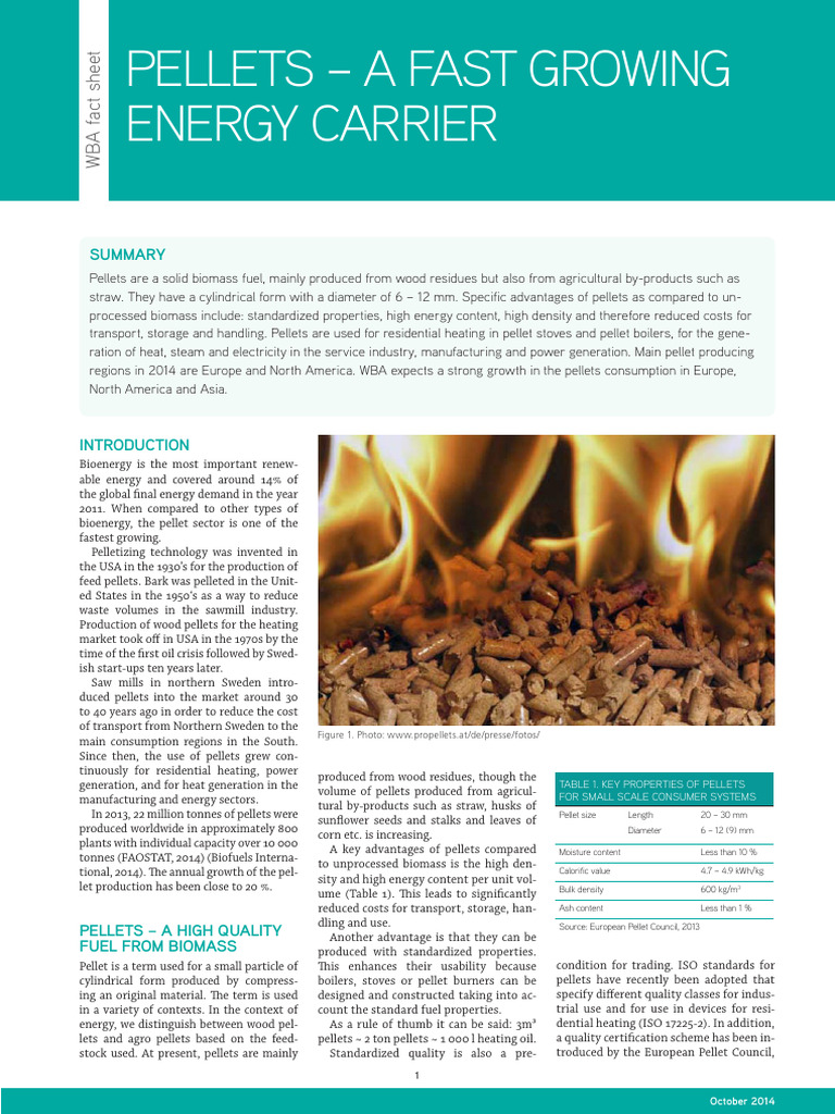 Factsheet - Wood Pellets | PDF