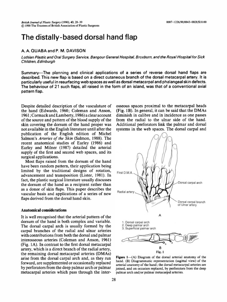 Distally-Based Dorsal Hand Flap | PDF