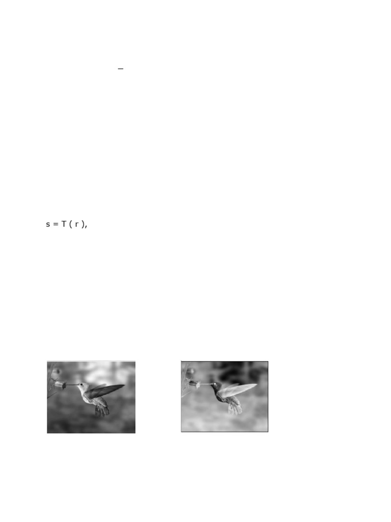 Assignment 2 Image Negative | PDF