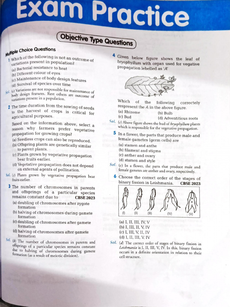 Extra Questions Grade 10 Science | PDF