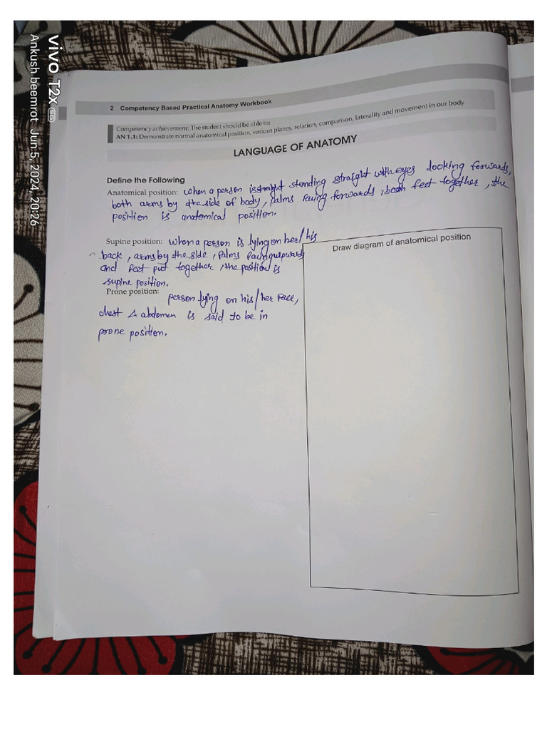 General Anatomy | PDF