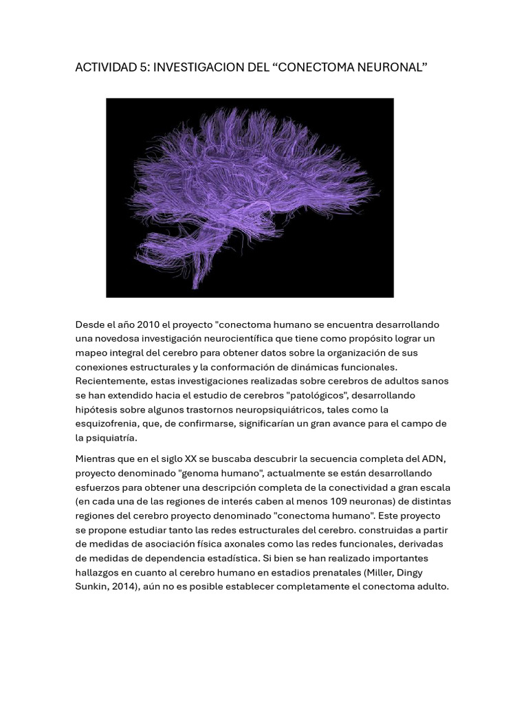 Tarea Conectoma | PDF