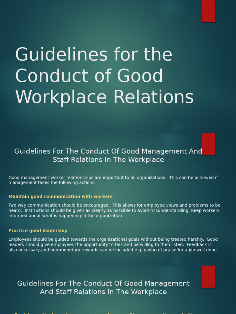 Guidelines For The Conduct of Good Workplace Relations | PDF