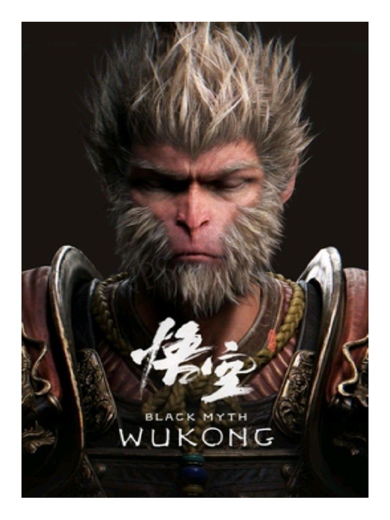 PDFReader_20240922_1356 | PDF