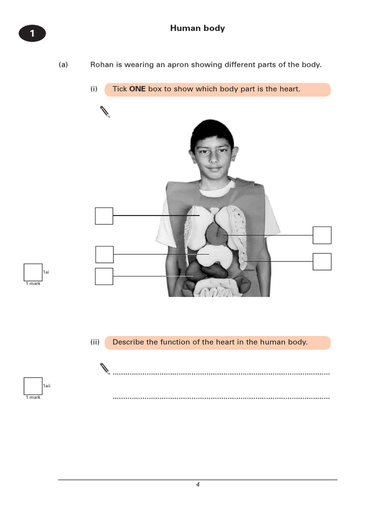 Science Application Booklet 1 | PDF
