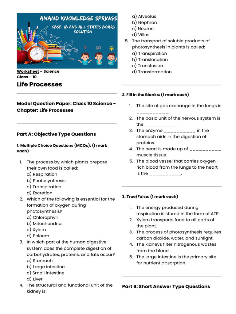 Science Chapter Life Processes Class 10 Worksheet | PDF