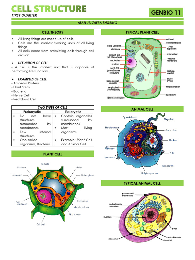 GEN BIO 11 - 1.3 | PDF