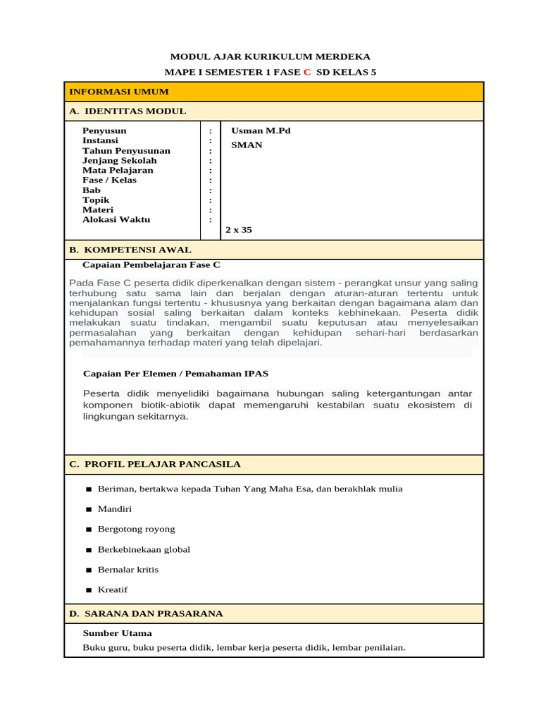 TEMPLATE MODUL AJAR UKPPPG | PDF