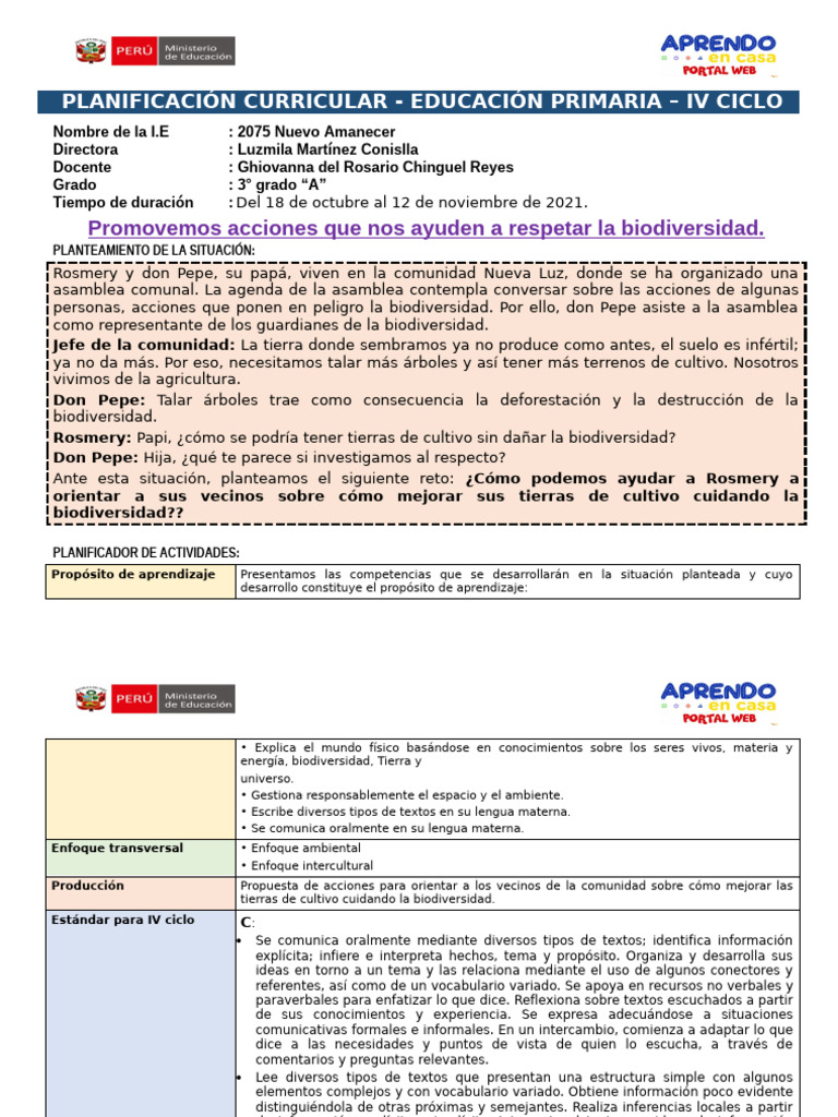 IV Experiencia de Aprendizaje 9 - IV Ciclo | PDF
