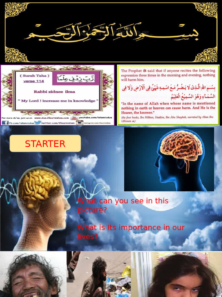 Mind in Islam - Rehana | PDF