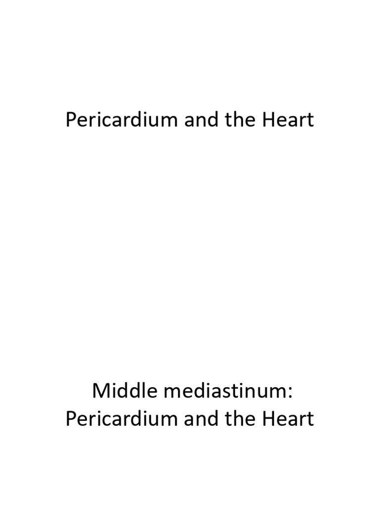 Pericardium and Heart | PDF | Coronary Circulation | Home & Garden