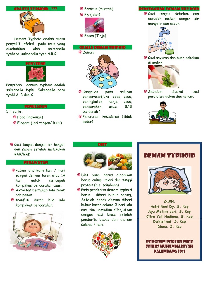 Leaflet Tifoid Ok Nian | PDF