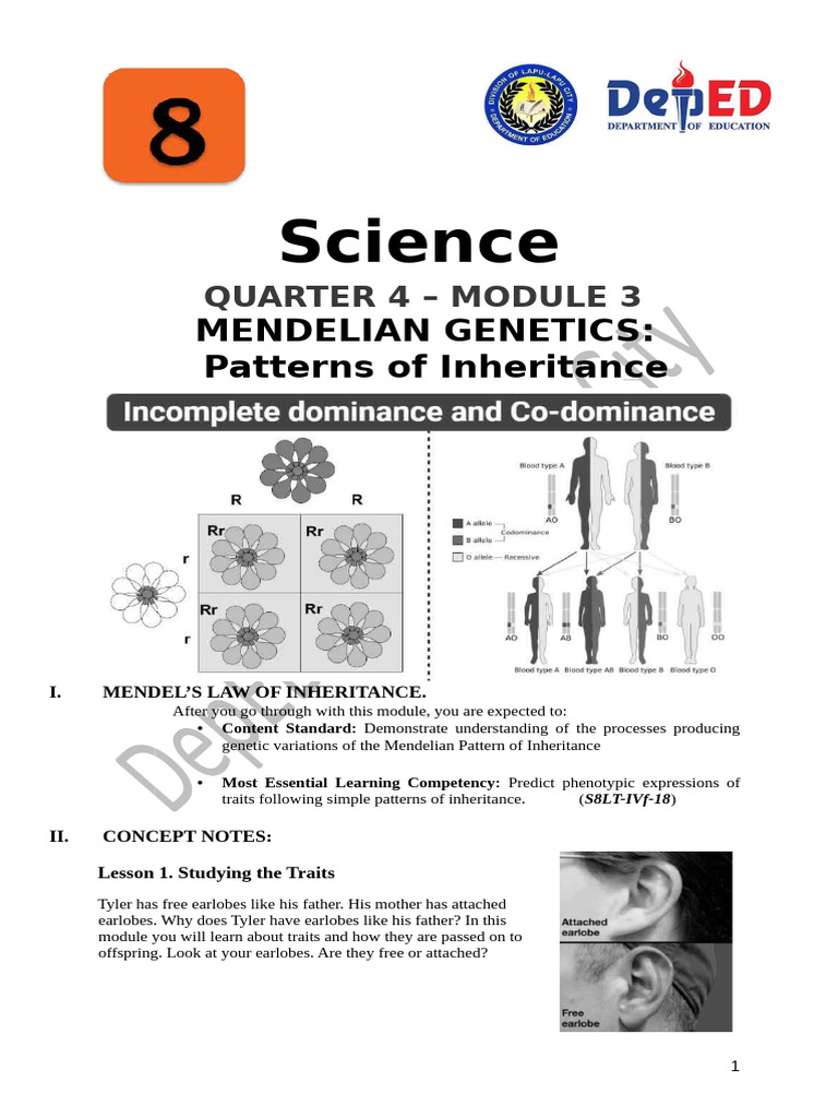 Science8 Q4 M3 1 | PDF