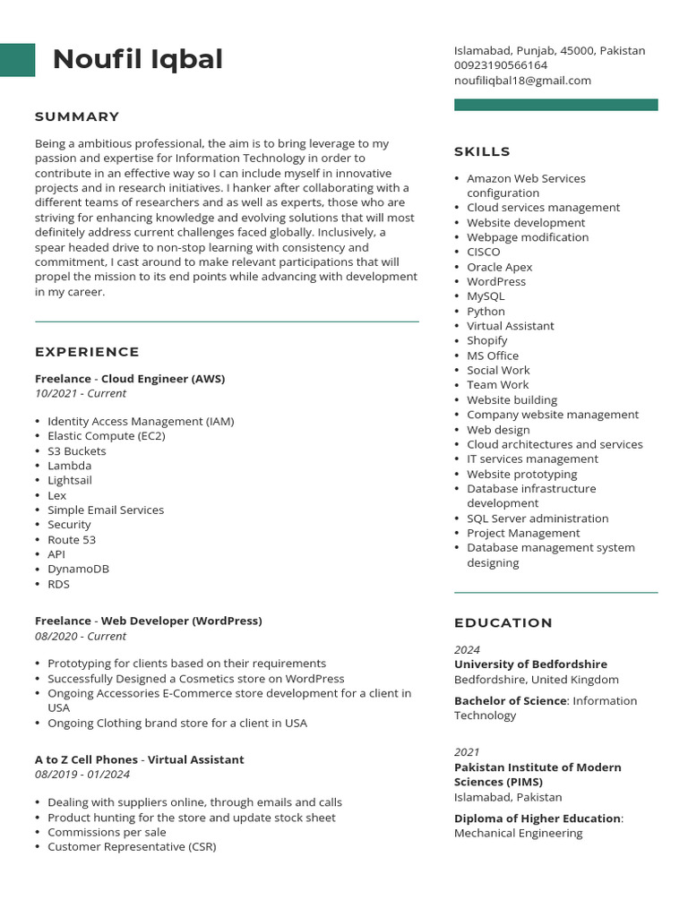 Noufil_Iqbal_CV_2024 | PDF