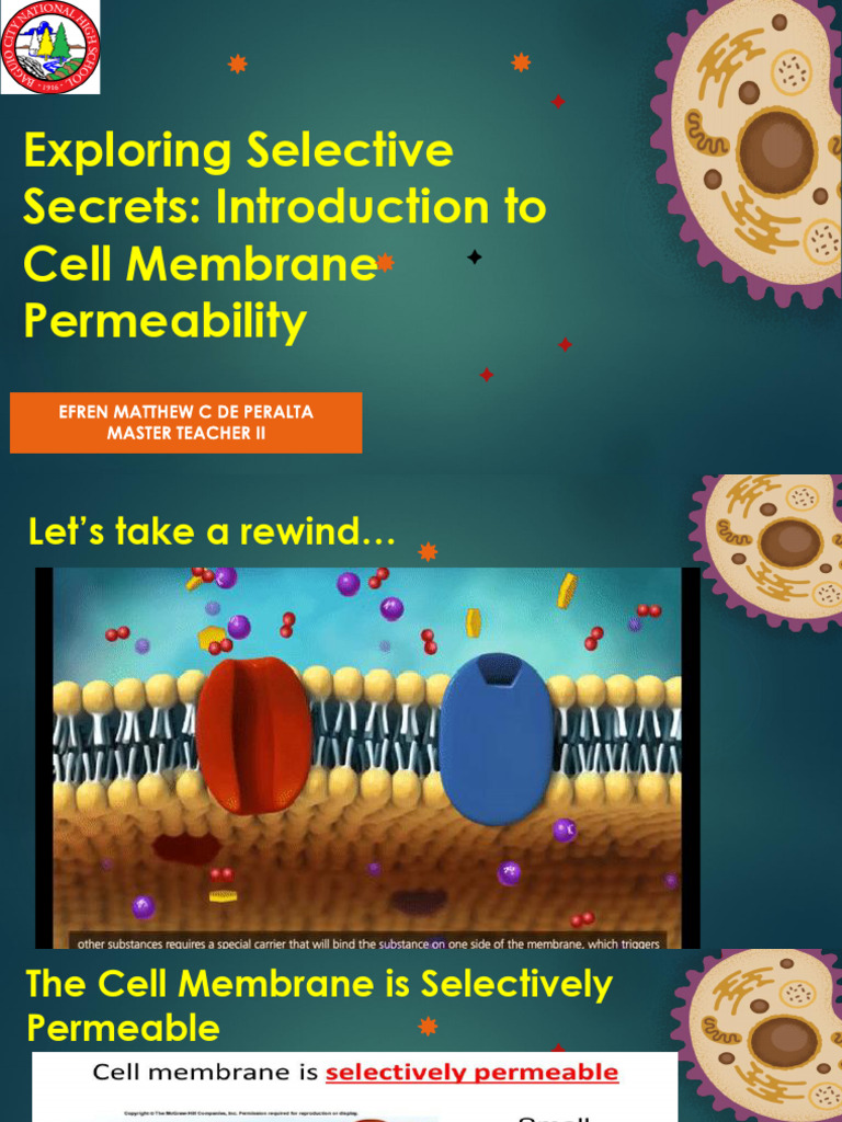 Beetroot Lesson | PDF