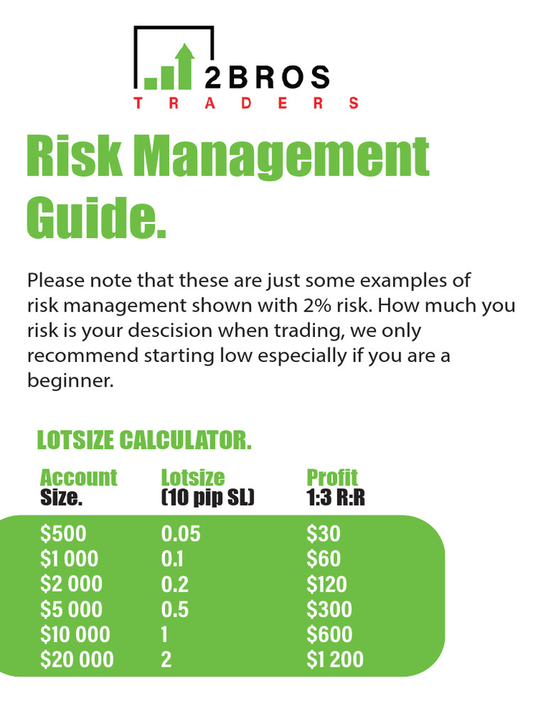 Risk Management Guide | PDF