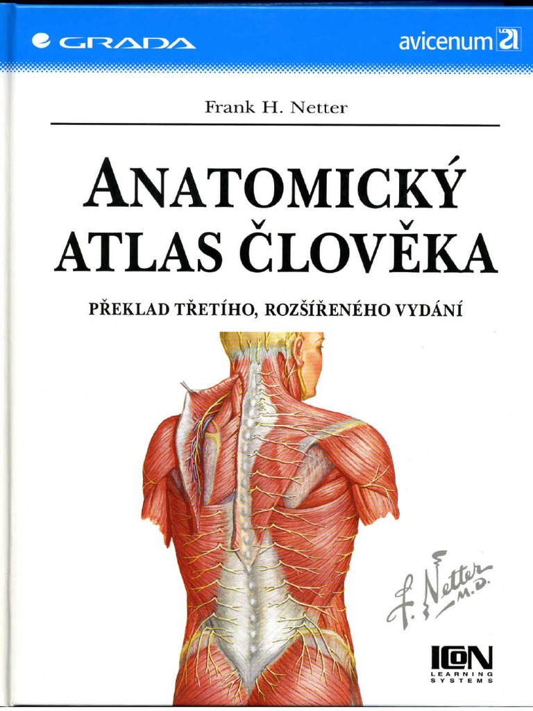 Anatomick+Ż Atlas - Netter | PDF