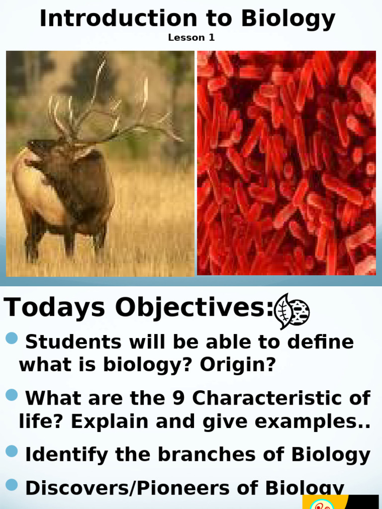 Introduction to Biology - ICP | PDF