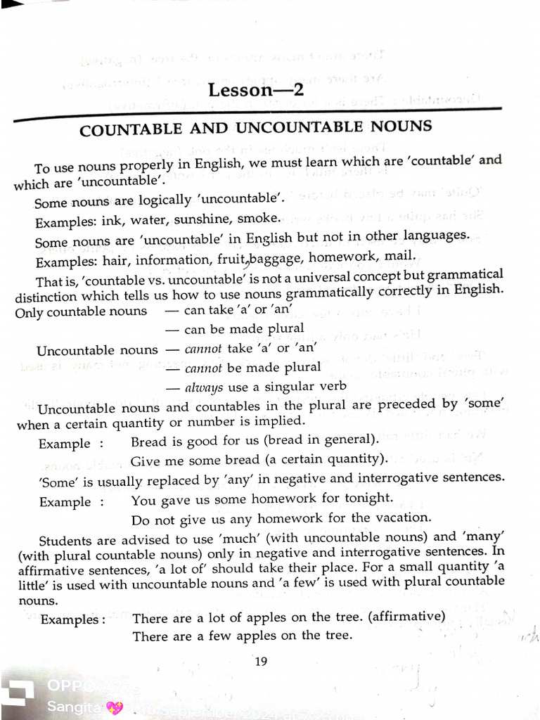 Lesson 2 - Countable & Uncountable Nouns. | PDF