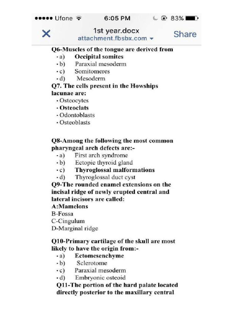 FM - Past Papers | PDF